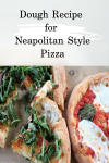 Neapolitan-ish Pizza – Oranges and Almonds